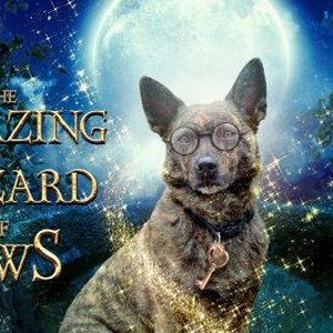 The Amazing Wizard of Paws - Rotten Tomatoes
