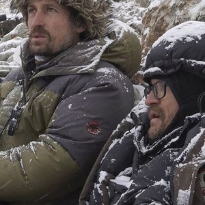 The Velvet Queen - Rotten Tomatoes