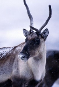 National Geographic's Strange Days on Planet Earth: Season 1, Episode 2 ...