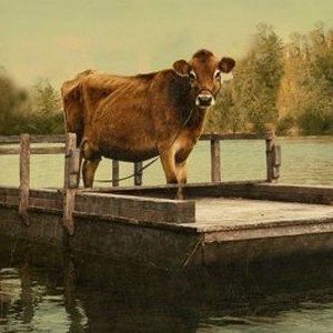 First Cow - Rotten Tomatoes