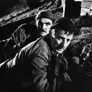 Barry Foster - Rotten Tomatoes