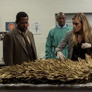 Mindcage - Rotten Tomatoes