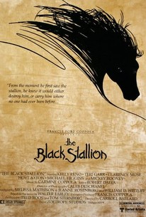 The Black Stallion | Rotten Tomatoes