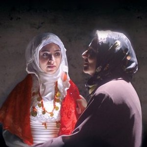 Kuma - Rotten Tomatoes