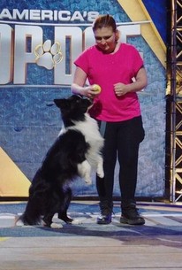 Top dog: Season 2, Episode 5 | Rotten Tomatoes