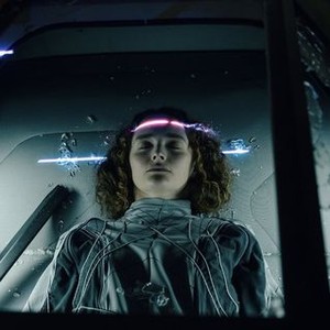 The Ark - Rotten Tomatoes