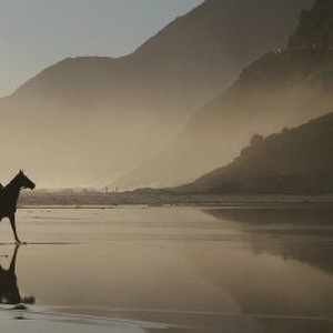 Spirit Rider - Rotten Tomatoes