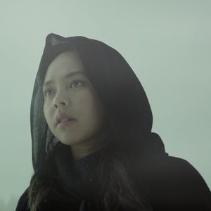 The Protector - Rotten Tomatoes