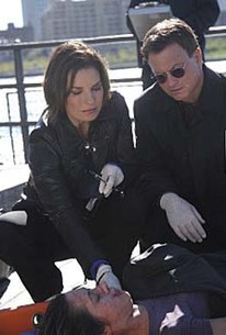 CSI: NY - Season 7 Episode 9 - Rotten Tomatoes