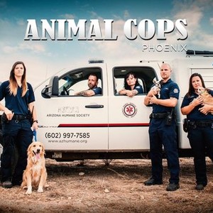 Animal Cops: Detroit: Season 20, Episode 10 - Rotten Tomatoes