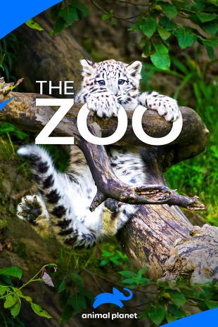 The Zoo Season 3 | Rotten Tomatoes