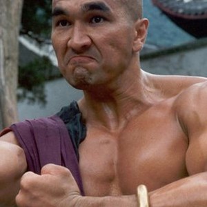 American Shaolin: King of the Kickboxers II - Rotten Tomatoes