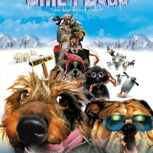 Chilly Dogs (2001) - Rotten Tomatoes