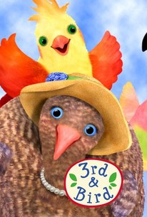 3rd & Bird: Season 2 | Rotten Tomatoes