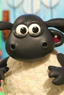 Timmy Time: Season 3, Episode 11 | Rotten Tomatoes