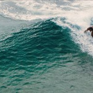 Waterman - Rotten Tomatoes