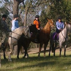 The Saddle Club: Season 2, Episode 2 - Rotten Tomatoes