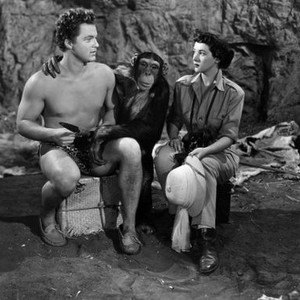 Barbara Bestar - Rotten Tomatoes