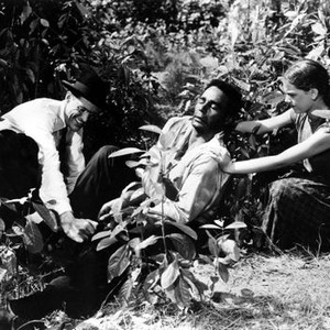 Rotten Tomatoes: Movies | TV Shows | Movie Trailers | Reviews - Rotten ...