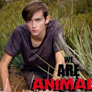 We Are Animals - Rotten Tomatoes