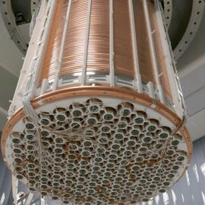 Chasing Einstein - Rotten Tomatoes