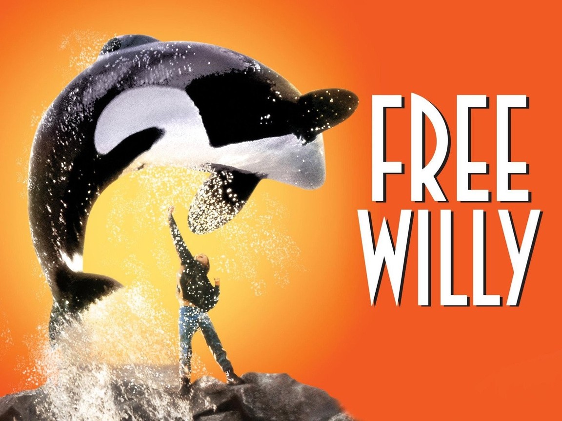 Free Willy Wallpaper