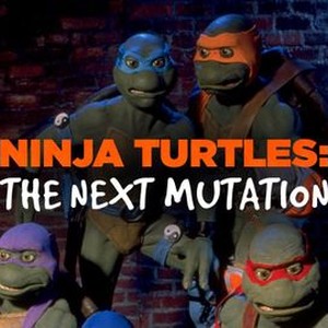 Ninja Turtles: The Next Mutation - Rotten Tomatoes