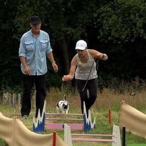 Bill Alden - Rotten Tomatoes