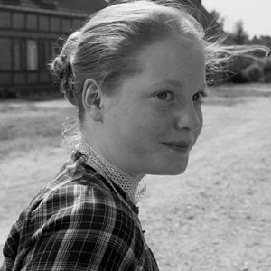 The White Ribbon - Rotten Tomatoes