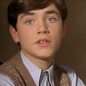 Sun - Rotten Tomatoes