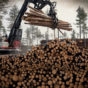 American Loggers - Rotten Tomatoes