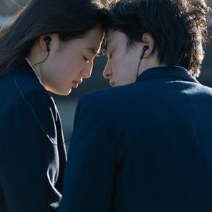 First Love - Rotten Tomatoes