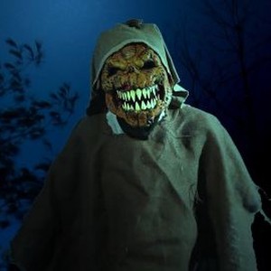 Jack vs Lanterns - Rotten Tomatoes