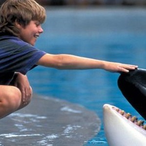 Free Willy - Rotten Tomatoes