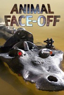Animal Face-Off: Season 1 | Rotten Tomatoes
