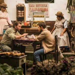 Jungle - Rotten Tomatoes