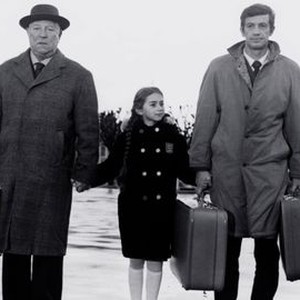 A Monkey in Winter - Rotten Tomatoes