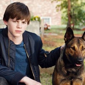 Rotten Tomatoes: Movies | TV Shows | Movie Trailers | Reviews - Rotten ...