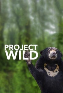 Project Wild | Rotten Tomatoes
