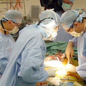 RPA: Season 2, Episode 3 - Rotten Tomatoes