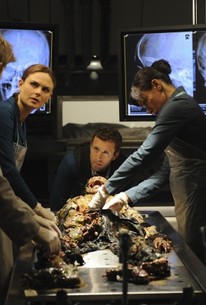 Bones - Season 5 Episode 6 - Rotten Tomatoes