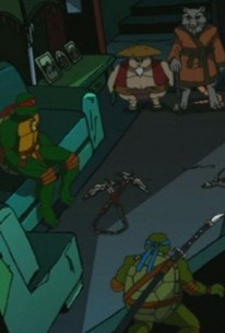 Teenage Mutant Ninja Turtles: Ninja Tribunal, Episode 7 | Rotten Tomatoes