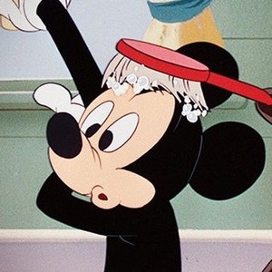 Mickey and the Seal - Rotten Tomatoes