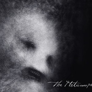 The Metamorphosis - Rotten Tomatoes