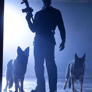 The Collection - Rotten Tomatoes