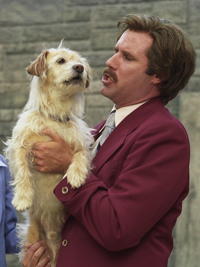 Anchorman Quotes Baxter