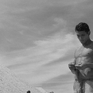 Araya - Rotten Tomatoes