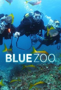 Blue Zoo | Rotten Tomatoes