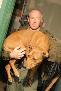 Animal Cops: Detroit: Season 6, Episode 7 | Rotten Tomatoes