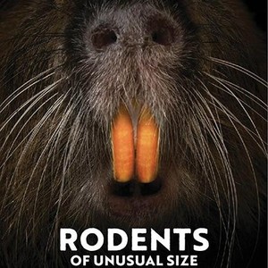 Rodents of Unusual Size - Rotten Tomatoes